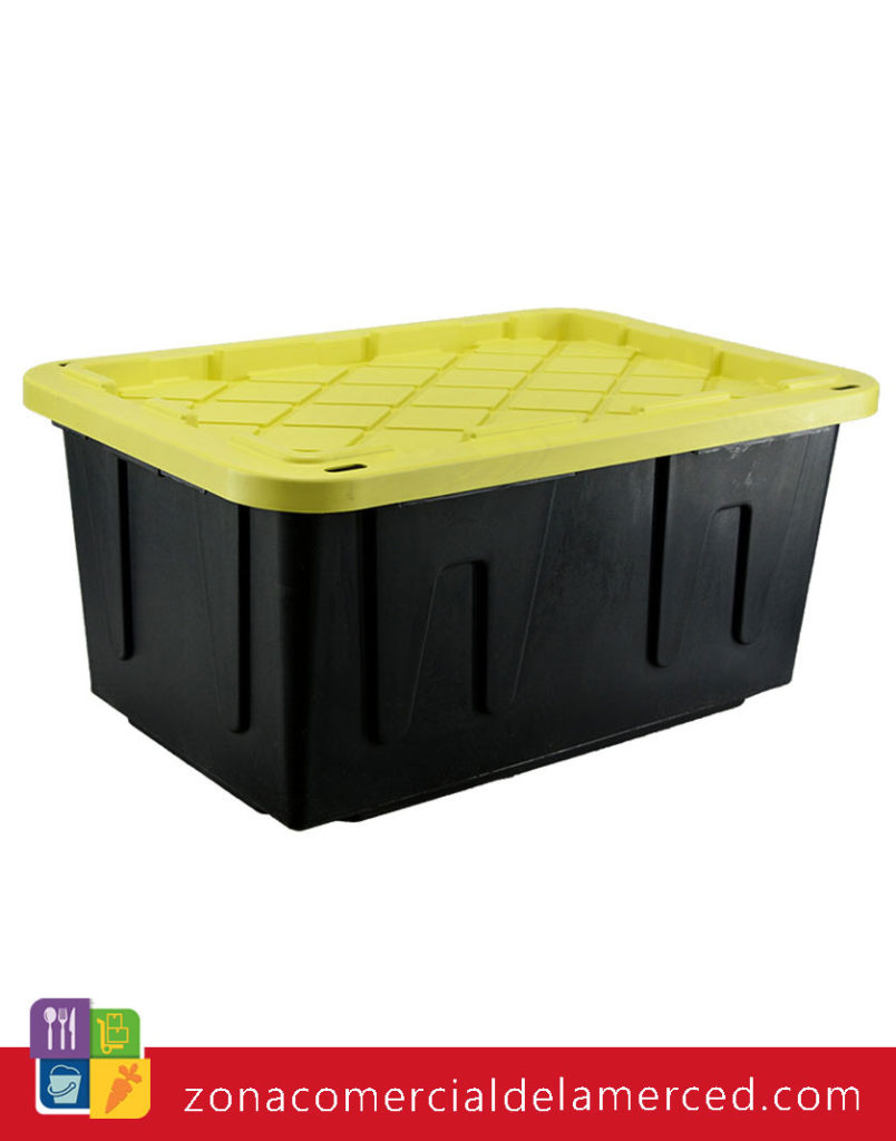 Caja Master con Tapa | Zona Comercial De La Merced