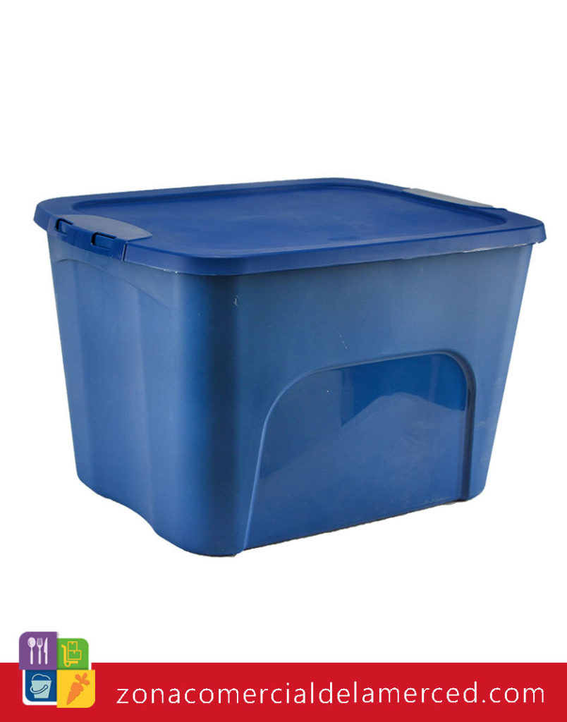 Caja Box Económica con Tapa | Zona Comercial De La Merced